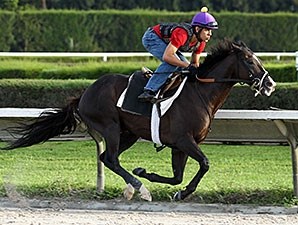 Jackson Bend - Horse Profile - BloodHorse