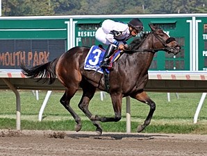 Flay Mignon - Horse Profile - BloodHorse