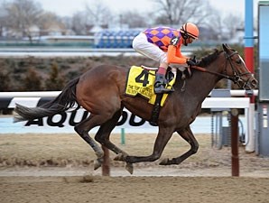 Summer Applause - Horse Profile - BloodHorse