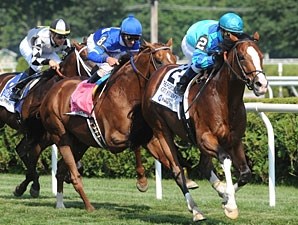 Get Stormy - Horse Profile - BloodHorse