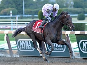 Ron the Greek - Horse Profile - BloodHorse