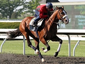 Union Rags - Horse Profile - BloodHorse