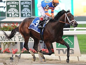 Uncle Mo - Horse Profile - BloodHorse