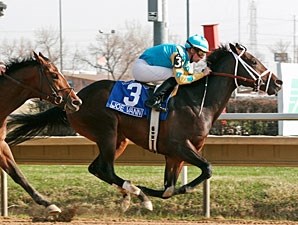 Joe Vann - Horse Profile - BloodHorse