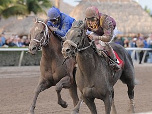 Jackson Bend - Horse Profile - BloodHorse