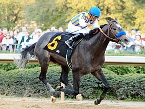 The Factor - Horse Profile - BloodHorse