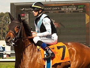 Charlie Em (GB) - Horse Profile - BloodHorse