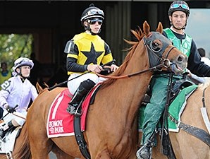 Ring Weekend - Horse Profile - BloodHorse
