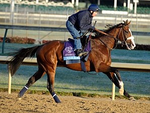 Union Rags - Horse Profile - BloodHorse