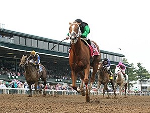 Work All Week - Horse Profile - BloodHorse