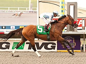 Goldencents - Horse Profile - BloodHorse