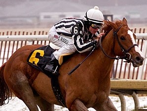 Red's Round Table - Horse Profile - BloodHorse