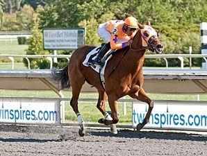 Third Chance - Horse Profile - BloodHorse