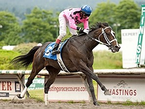 Title Contender - Horse Profile - BloodHorse