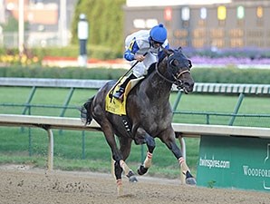 Neck 'n Neck - Horse Profile - BloodHorse
