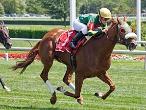 Pure Clan - Horse Profile - BloodHorse