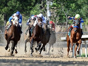 Line of David - Horse Profile - BloodHorse