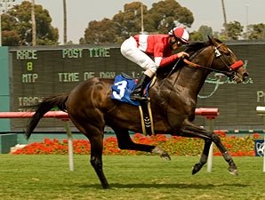 Acclamation Faces 11 in Whittingham Memorial - BloodHorse