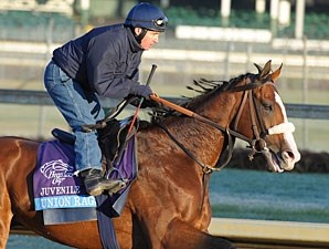 Union Rags - Horse Profile - BloodHorse