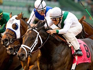 Cowboy Cal - Horse Profile - BloodHorse