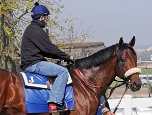 Quality Road - Horse Profile - BloodHorse
