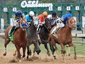 Junebugred - Horse Profile - BloodHorse