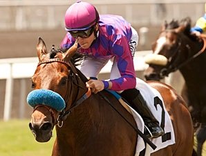 Obviously, Lucayan Headed for Shoemaker Mile - BloodHorse