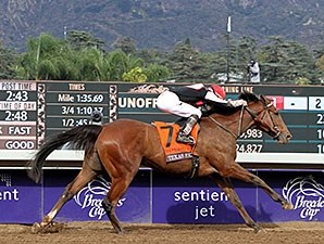 Texas Red - Horse Profile - BloodHorse
