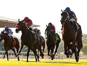 Unbridled's Note - Horse Profile - BloodHorse