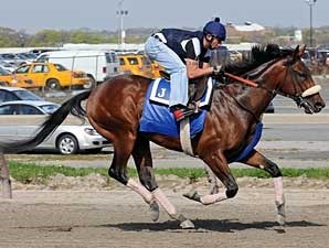 Quality Road - Horse Profile - BloodHorse