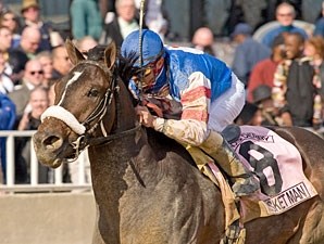 Musket Man - Horse Profile - BloodHorse