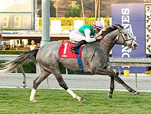 Filimbi - Horse Profile - BloodHorse