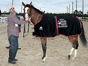 Rise Up - Horse Profile - BloodHorse