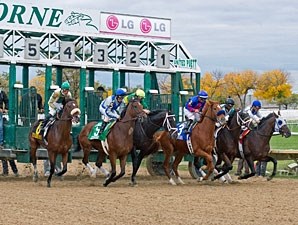 Pool Play - Horse Profile - BloodHorse