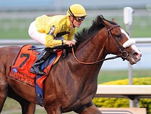 Union Rags - Horse Profile - BloodHorse