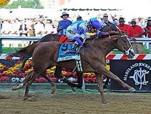 Maryland Racing Posts Gains for 2012 - BloodHorse