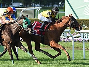 Ring Weekend - Horse Profile - BloodHorse