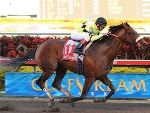 Quality Road - Horse Profile - BloodHorse
