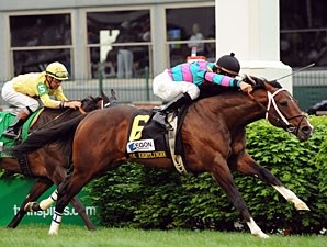 Mr. Nightlinger - Horse Profile - BloodHorse