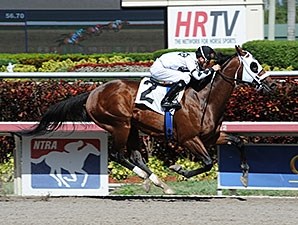 Fast Anna - Horse Profile - BloodHorse