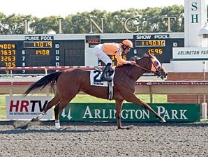 Third Chance - Horse Profile - BloodHorse