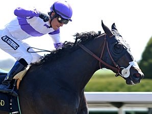 Handsome Mike - Horse Profile - BloodHorse