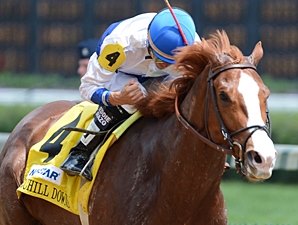 Shackleford to Miss Forego - BloodHorse