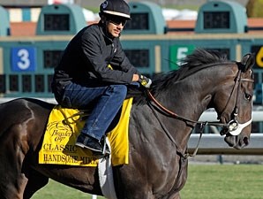 Handsome Mike - Horse Profile - BloodHorse