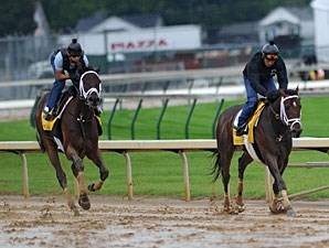 Uncle Mo - Horse Profile - BloodHorse