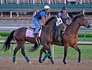 Nan - Horse Profile - BloodHorse