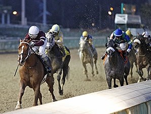 Tapiture - Horse Profile - BloodHorse