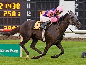 Willcox Inn - Horse Profile - BloodHorse