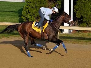 Colonel John - Horse Profile - BloodHorse