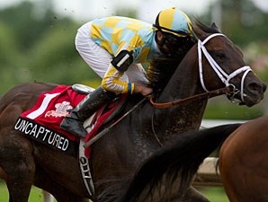 Uncaptured - Horse Profile - BloodHorse